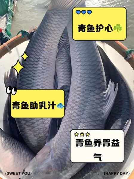 青鱼的营养价值_青鱼的功效与作用-第1张图片-山城妙识
