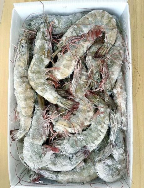 海水虾和淡水虾的区别_怎么一眼分辨-第1张图片-山城妙识 海水虾和淡水虾的区别_怎么一眼分辨-第1张图片-山城妙识