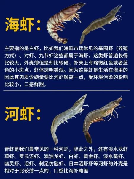 海水虾和淡水虾的区别_怎么一眼分辨-第2张图片-山城妙识 海水虾和淡水虾的区别_怎么一眼分辨-第2张图片-山城妙识