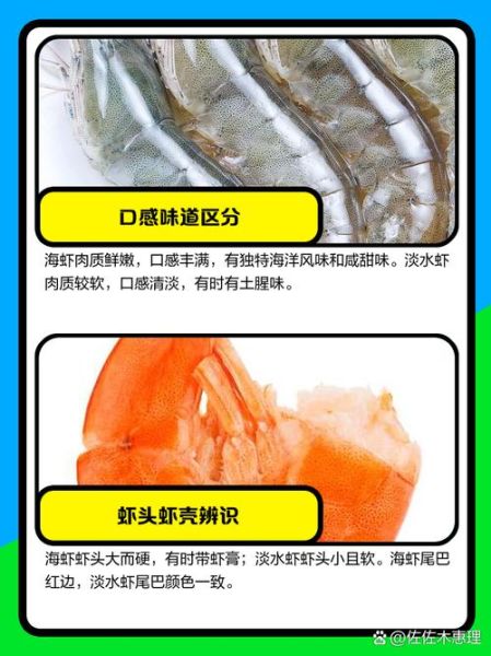海水虾和淡水虾的区别_怎么一眼分辨-第3张图片-山城妙识 海水虾和淡水虾的区别_怎么一眼分辨-第3张图片-山城妙识