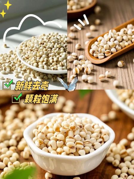 薏仁米价格多少钱一斤_薏仁米多少钱一斤-第2张图片-山城妙识