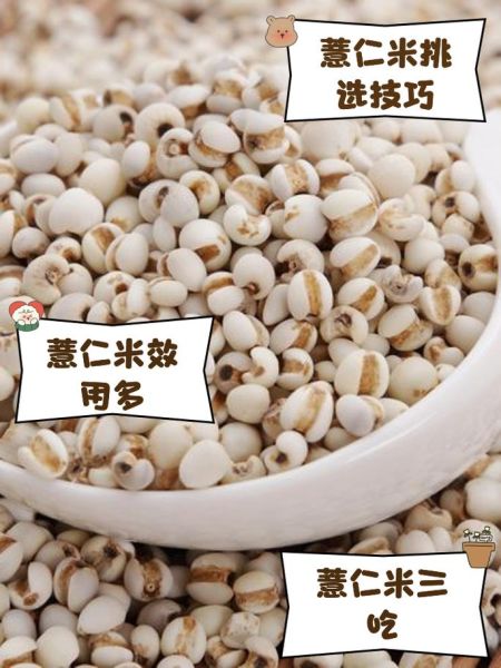 薏仁米价格多少钱一斤_薏仁米多少钱一斤-第1张图片-山城妙识