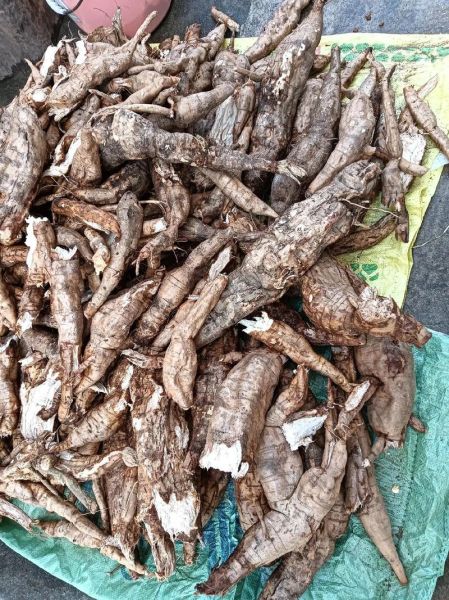 野生葛根粉多少钱一斤_野生葛根粉价格为什么差别大-第3张图片-山城妙识