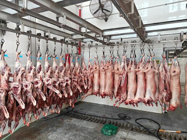 羊肉批发市场在哪里_如何挑选优质货源-第1张图片-山城妙识