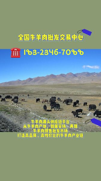 羊肉批发市场在哪里_如何挑选优质货源-第2张图片-山城妙识