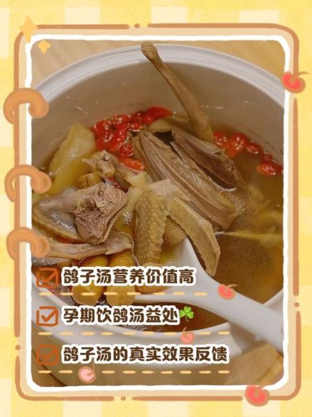 喝鸽子汤有什么好处_孕妇可以喝鸽子汤吗-第3张图片-山城妙识