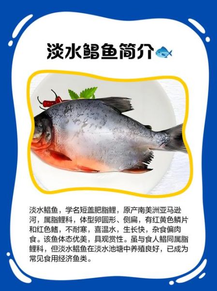 鲳鱼是海鱼还是淡水鱼_鲳鱼生活在海水还是淡水-第1张图片-山城妙识