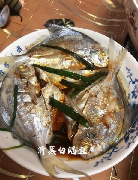 鲳鱼是海鱼还是淡水鱼_鲳鱼生活在海水还是淡水-第2张图片-山城妙识