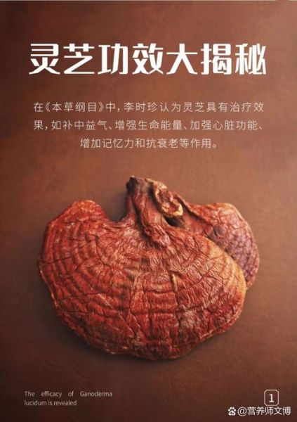 灵芝孢子粉长期吃害处_长期吃灵芝孢子粉有什么副作用-第2张图片-山城妙识 灵芝孢子粉长期吃害处_长期吃灵芝孢子粉有什么副作用-第2张图片-山城妙识