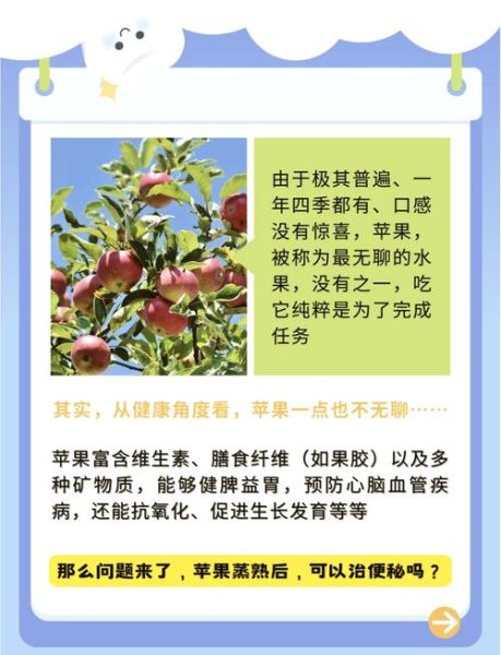 苹果治什么病最快_苹果缓解便秘多久见效-第3张图片-山城妙识