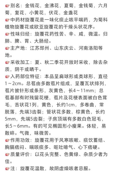 旋覆花的功效与作用_旋覆花能长期泡水喝吗-第3张图片-山城妙识