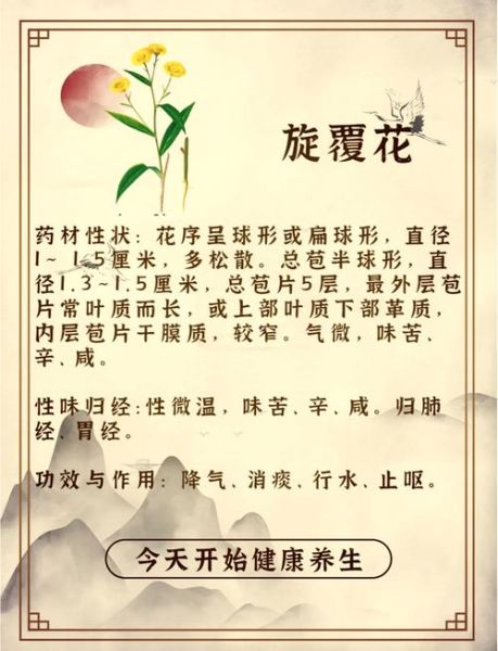 旋覆花的功效与作用_旋覆花能长期泡水喝吗-第1张图片-山城妙识