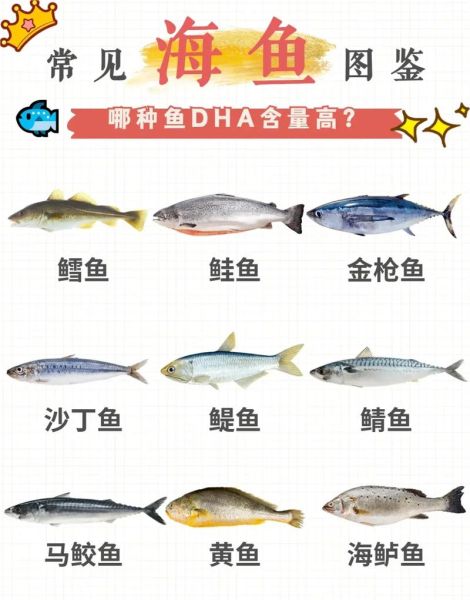 常见海鱼名字及图片大全_如何区分海鱼种类-第3张图片-山城妙识