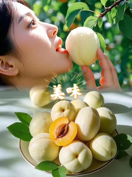 美国大杏仁树怎么种_美国大杏仁树几年结果-第2张图片-山城妙识