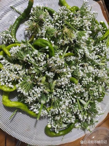 韭菜花怎么做_韭菜花酱的腌制方法-第2张图片-山城妙识