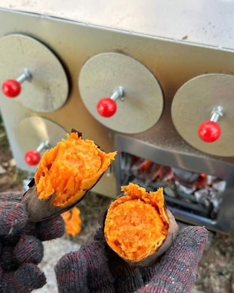 烤地瓜烤箱温度与时间_烤地瓜烤箱做法步骤-第1张图片-山城妙识