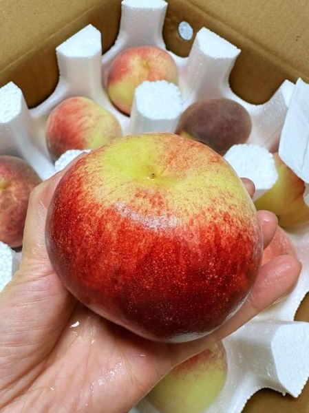 桃子有哪些营养价值_吃桃子会上火吗-第3张图片-山城妙识