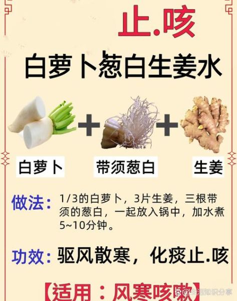 风热感冒偏方白萝卜_怎么用-第1张图片-山城妙识