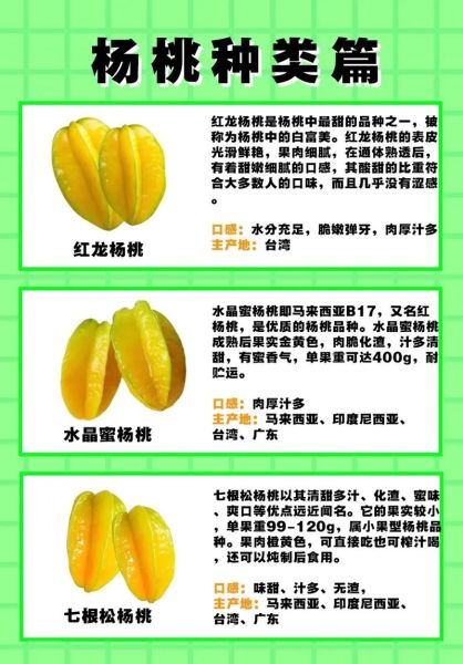 杨桃怎么挑选_杨桃怎么吃才好吃-第2张图片-山城妙识