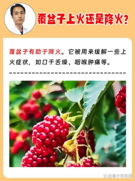 覆盆子怎么吃_覆盆子一天吃多少合适-第1张图片-山城妙识