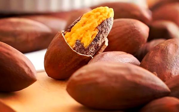 榧子和香榧的区别_香榧是不是榧子-第1张图片-山城妙识