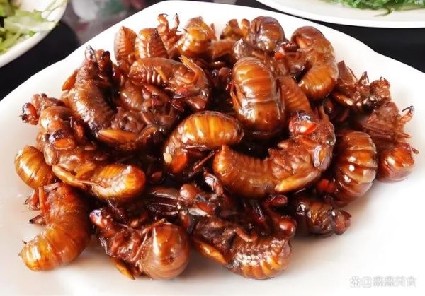 知了猴图片怎么拍_知了猴图片高清大全-第3张图片-山城妙识