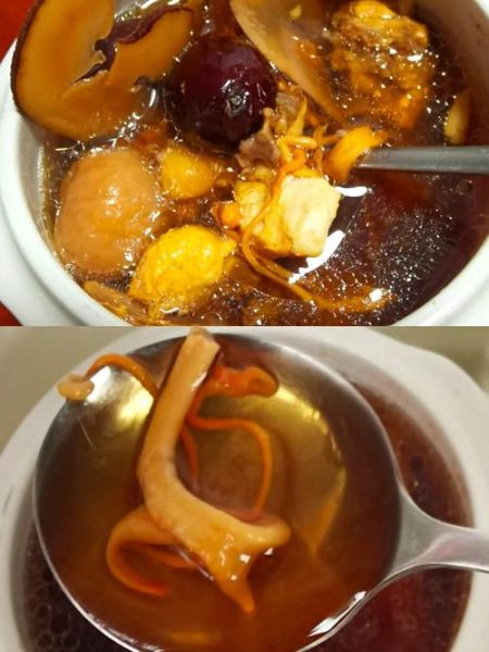 海底椰和什么煲汤好_海底椰煲汤搭配推荐-第2张图片-山城妙识