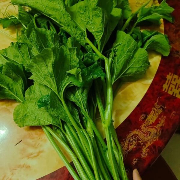 南瓜藤怎么剥皮_南瓜藤剥皮技巧-第1张图片-山城妙识