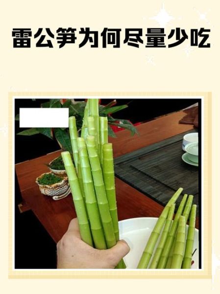哪些竹笋不能吃_如何判断毒竹笋-第2张图片-山城妙识 哪些竹笋不能吃_如何判断毒竹笋-第2张图片-山城妙识