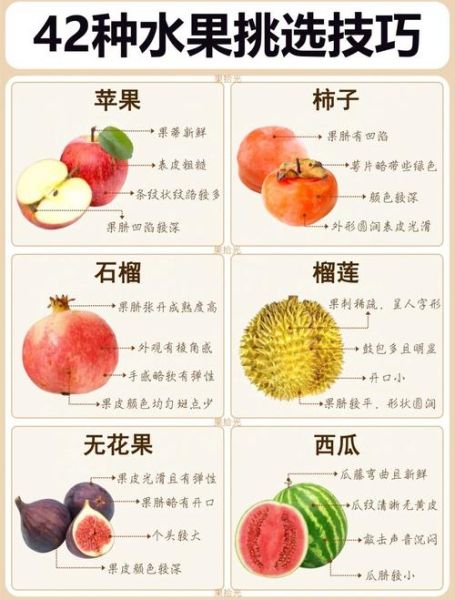 100种水果图片大全_如何快速识别-第1张图片-山城妙识