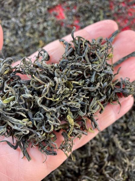 高山云雾茶多少钱一斤_高山云雾茶价格表-第1张图片-山城妙识