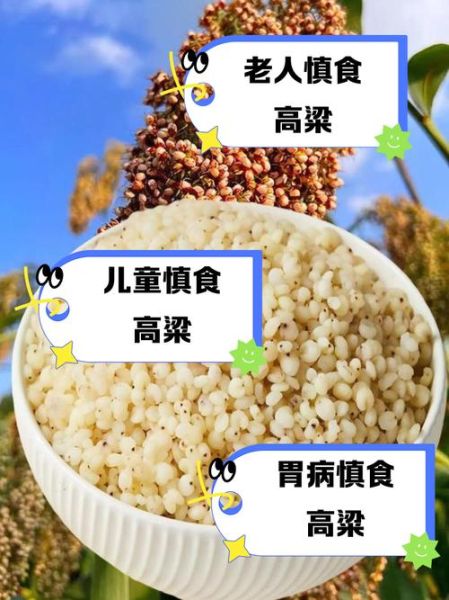 高粱米什么人不能吃_禁忌人群全解析-第1张图片-山城妙识