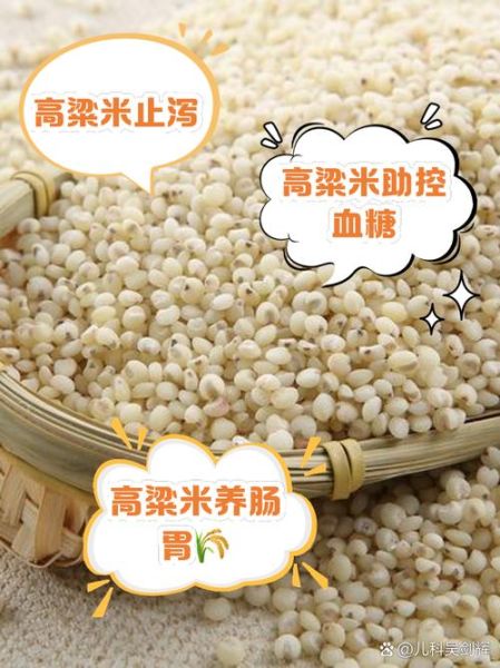 高粱米什么人不能吃_禁忌人群全解析-第3张图片-山城妙识