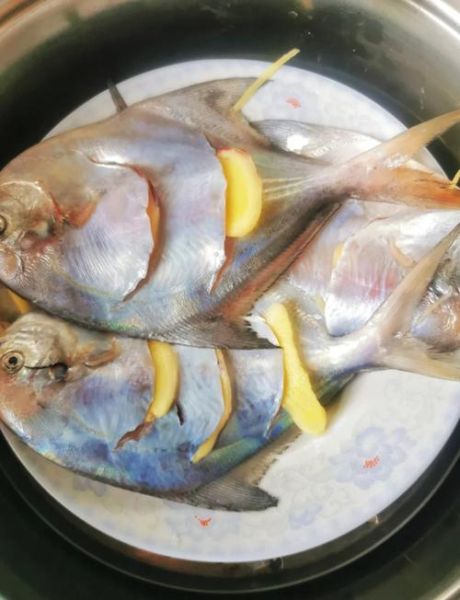 清蒸鲳鱼怎么做好吃_清蒸鲳鱼的家常做法-第1张图片-山城妙识