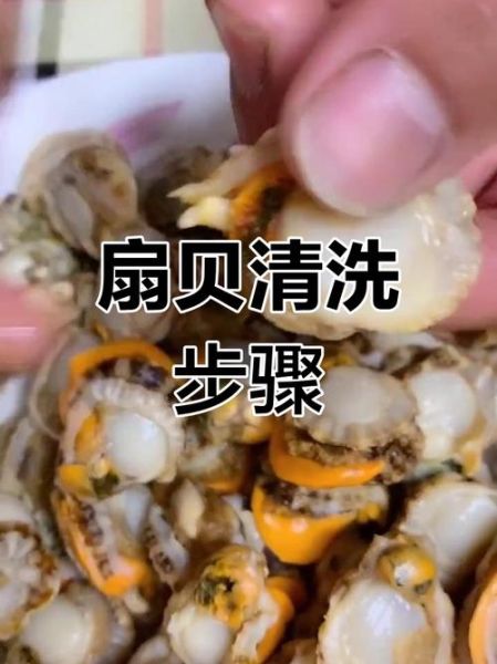 扇贝肉里面的黑东西能吃吗_怎么处理才安全-第3张图片-山城妙识 扇贝肉里面的黑东西能吃吗_怎么处理才安全-第3张图片-山城妙识