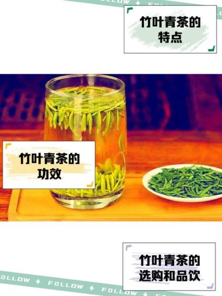 竹叶青是什么茶_竹叶青茶的功效与作用-第3张图片-山城妙识