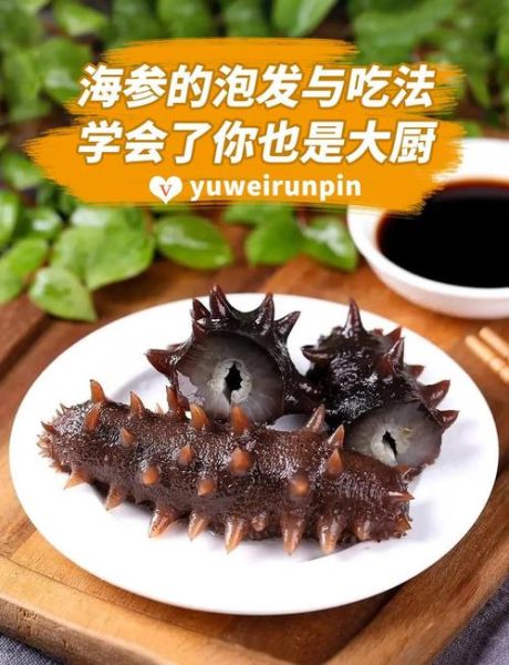 家庭海参怎么发_海参最简单的家常做法-第1张图片-山城妙识 家庭海参怎么发_海参最简单的家常做法-第1张图片-山城妙识