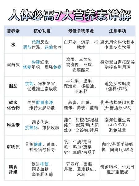 七大营养素有哪些_如何科学搭配日常饮食-第2张图片-山城妙识