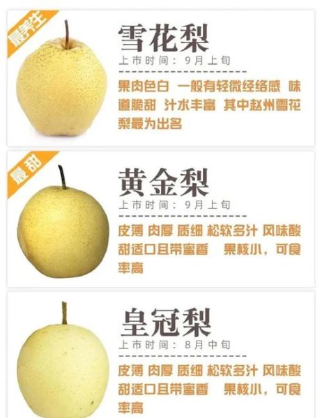 梨子品种有哪些_哪种梨子最好吃-第3张图片-山城妙识