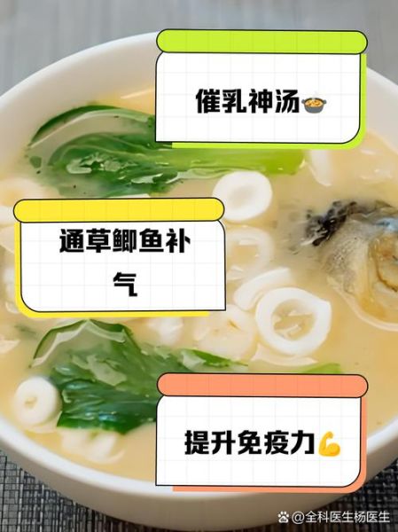 通草鲫鱼汤通草放多少_通草鲫鱼汤一次放几克-第3张图片-山城妙识