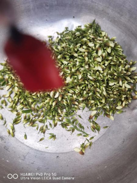 槐树花包子馅怎么做_槐树花包子馅的做法窍门-第1张图片-山城妙识