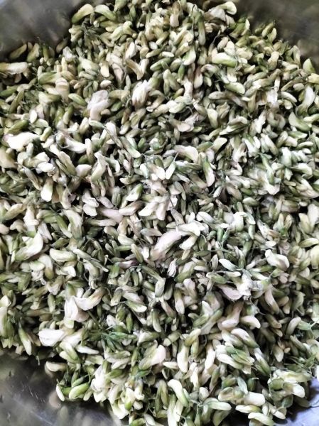 槐树花包子馅怎么做_槐树花包子馅的做法窍门-第2张图片-山城妙识