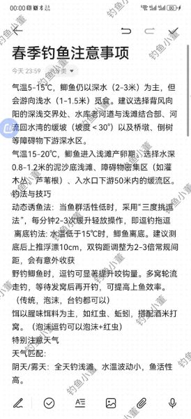 野钓鲫鱼技巧_如何提高上鱼率-第1张图片-山城妙识