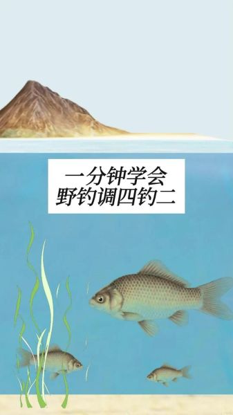 野钓鲫鱼技巧_如何提高上鱼率-第2张图片-山城妙识