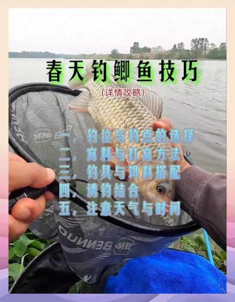 野钓鲫鱼技巧_如何提高上鱼率-第3张图片-山城妙识