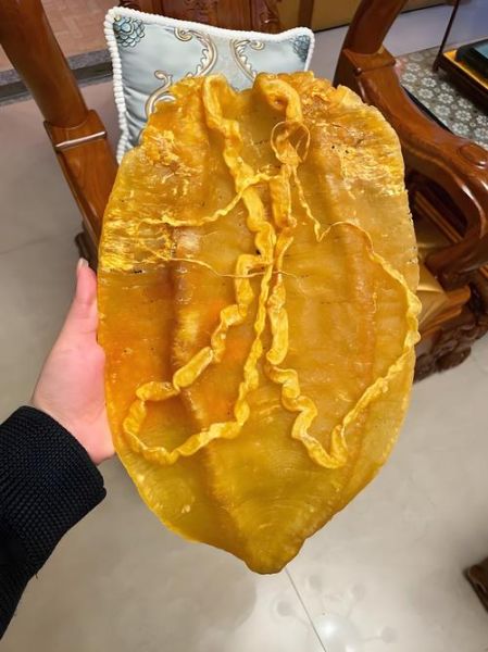 金钱鳘鱼多少钱一斤_金钱鳘鱼为什么这么贵-第1张图片-山城妙识