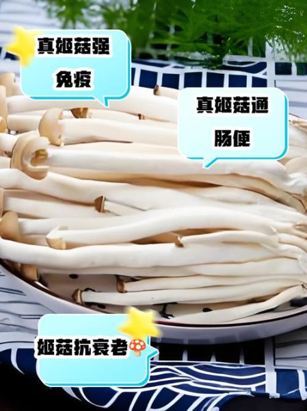 真姬菇的功效与作用_真姬菇的禁忌人群有哪些-第1张图片-山城妙识 真姬菇的功效与作用_真姬菇的禁忌人群有哪些-第1张图片-山城妙识