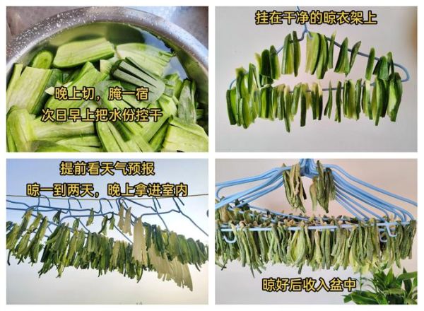 绿皮萝卜咸菜怎么腌制_绿皮萝卜咸菜腌制窍门-第1张图片-山城妙识