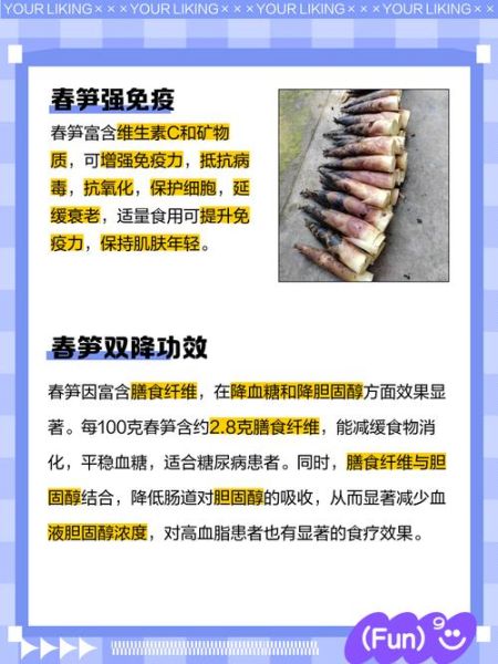 吃春笋的好处_春笋的营养价值有哪些-第1张图片-山城妙识