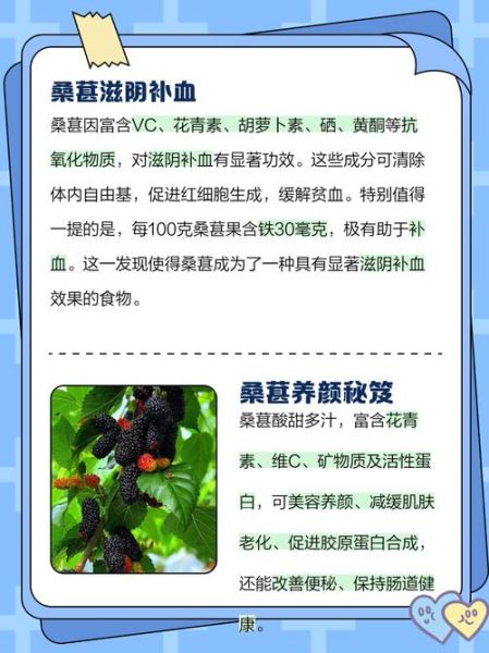 吃桑葚的功效与作用及禁忌_哪些人不能吃桑葚-第2张图片-山城妙识 吃桑葚的功效与作用及禁忌_哪些人不能吃桑葚-第2张图片-山城妙识
